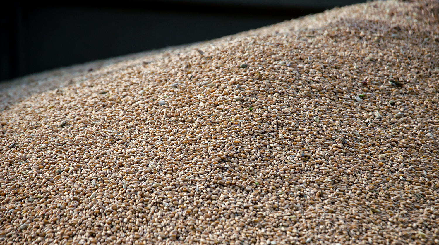 Mano ūkis - Grūdų perdirbėjai ir prekybininkai: prioritetas – Lietuvoje ...