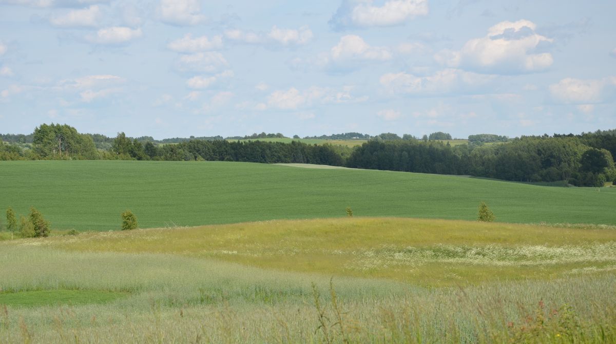 Mano ūkis - ŽŪM nepritaria siūlymui valstybinę žemę kaime perduoti ...