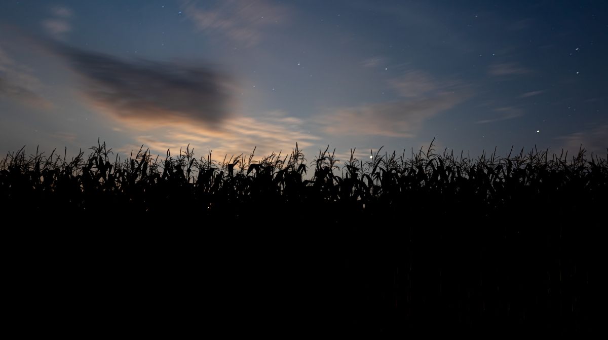 Mano ūkis - Ūkininkai gali miegoti ramiai: neteks purkšti naktimis