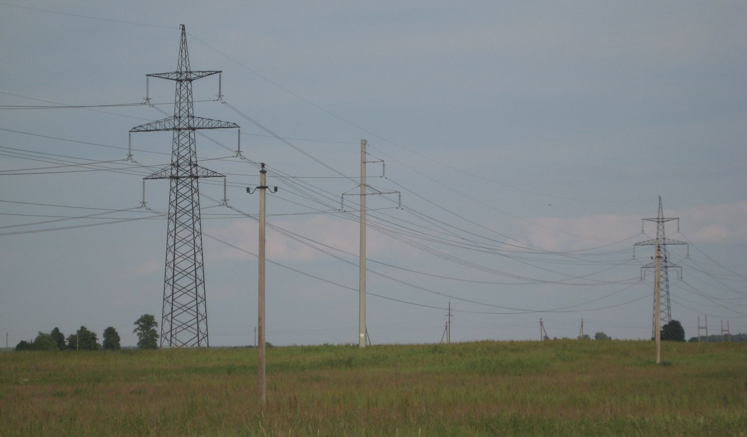 Mano ūkis - Už elektros stulpus išmokėta per 2 mln. eurų
