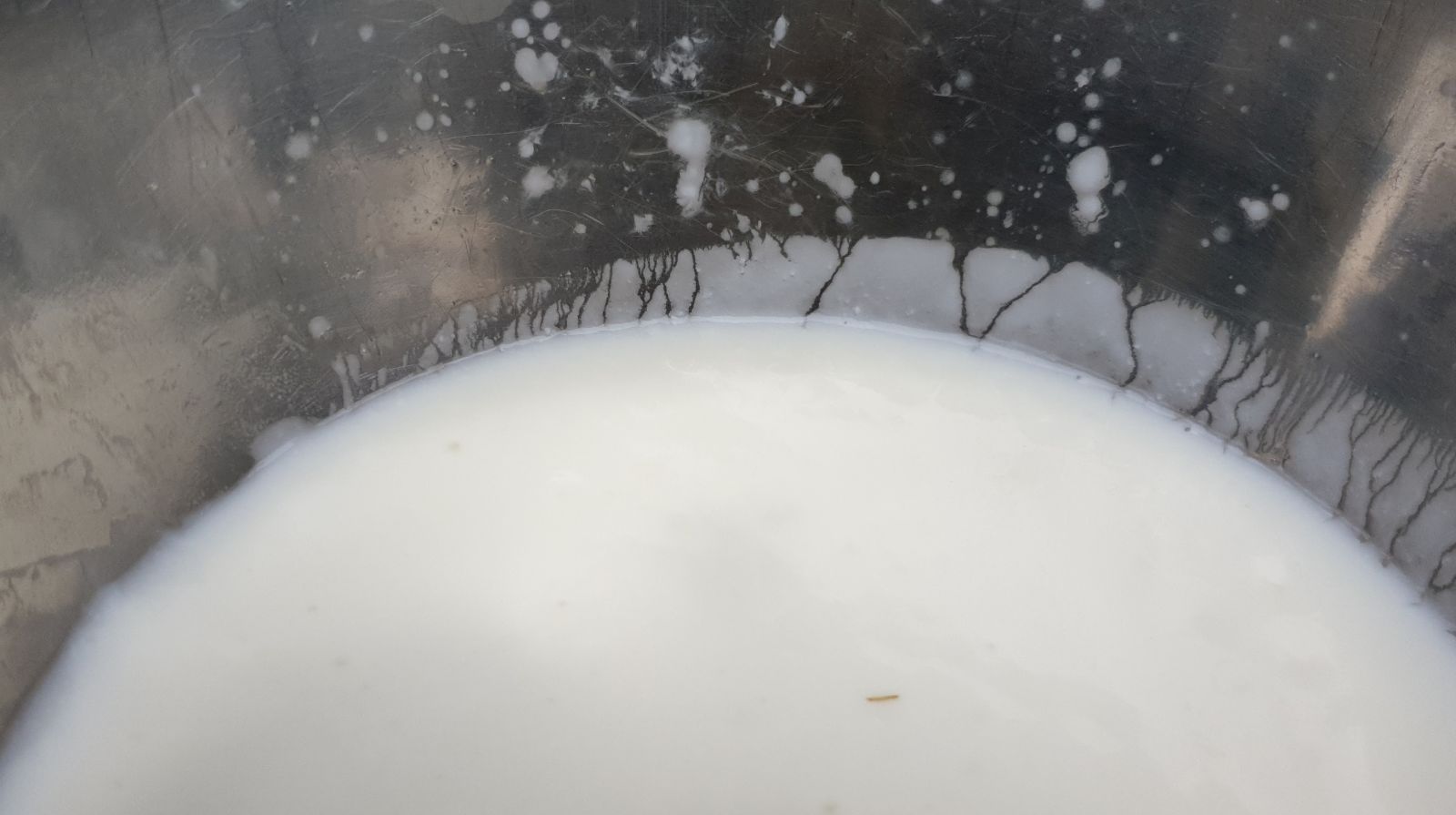 Mano ūkis - Kefyras – naudingas probiotikas paršeliams