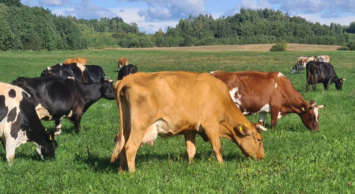 Mano ūkis - Gyvūnų produktyvumo tyrimų nauda neabejotina