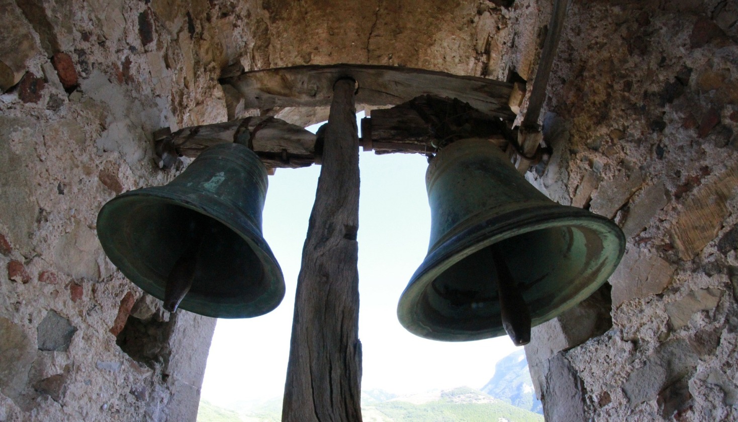 Mano ūkis - Kodėl negaudžia pavojaus varpai?