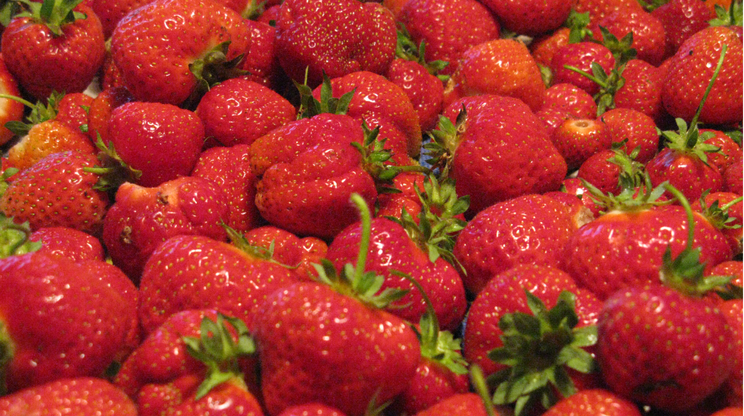 Mano ūkis - Braškių augintojai ieško naujovių