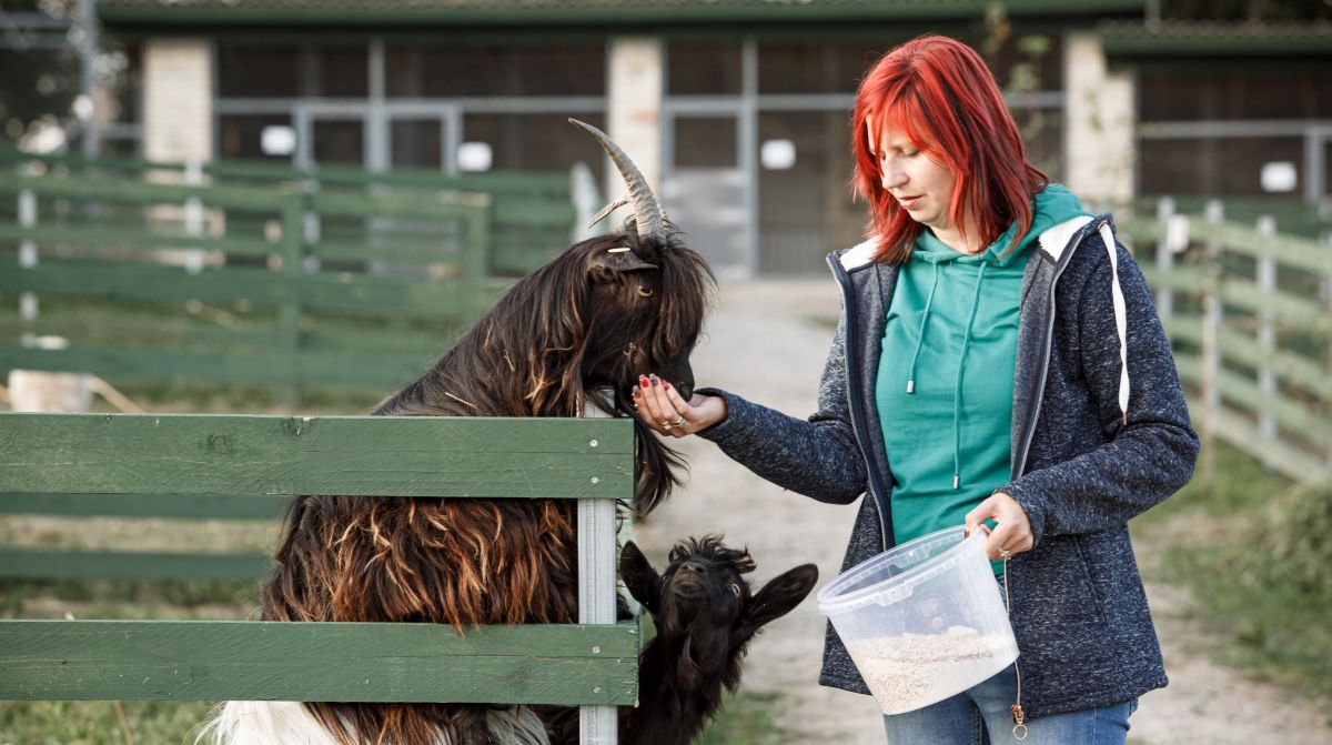 Mano ūkis - Gyvūnų ūkiuose galima patirti sąlytį su gamta