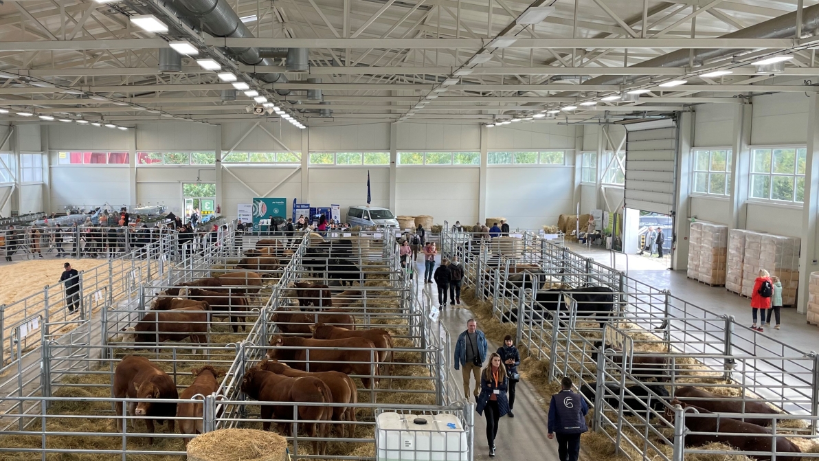 Mano ūkis - Gyvulininkystės paroda: eksponatai gražūs, bet tobulėti ...