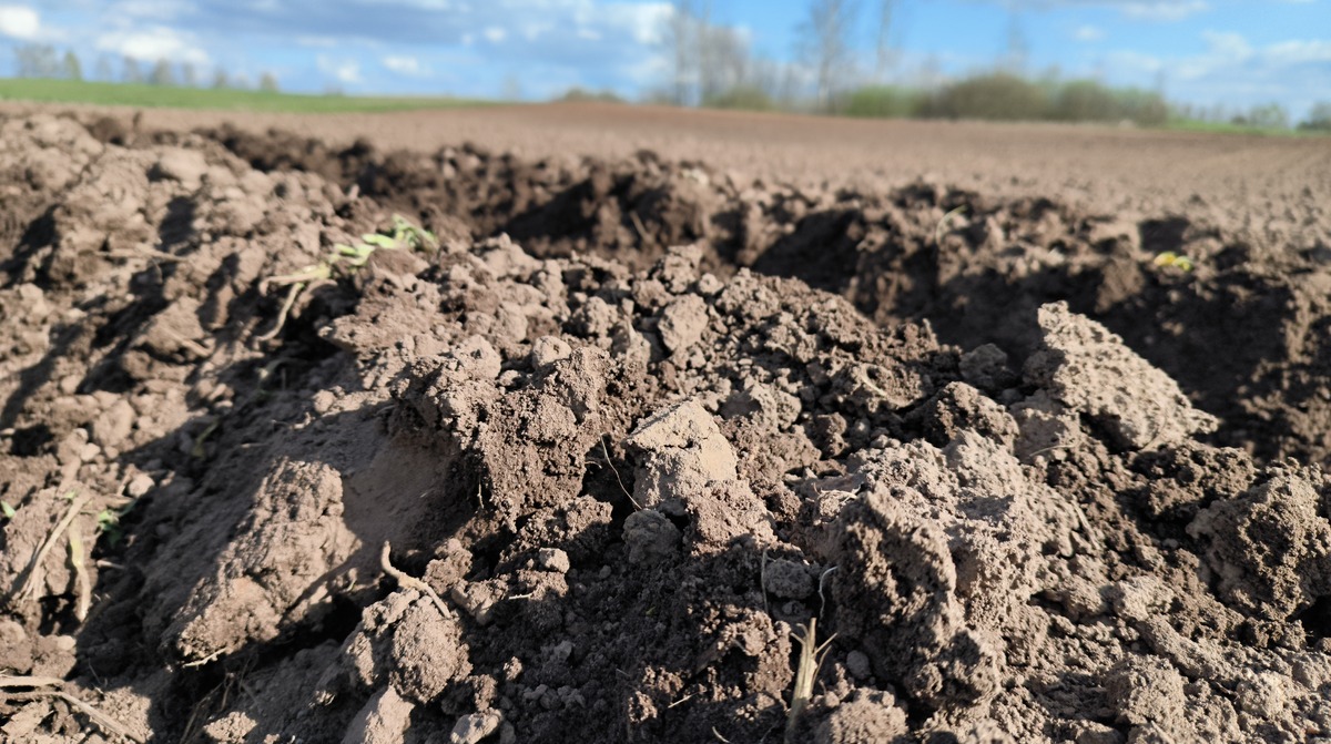 Mano ūkis - Svarbiausi valstybinės žemės laikino naudojimo pokyčiai