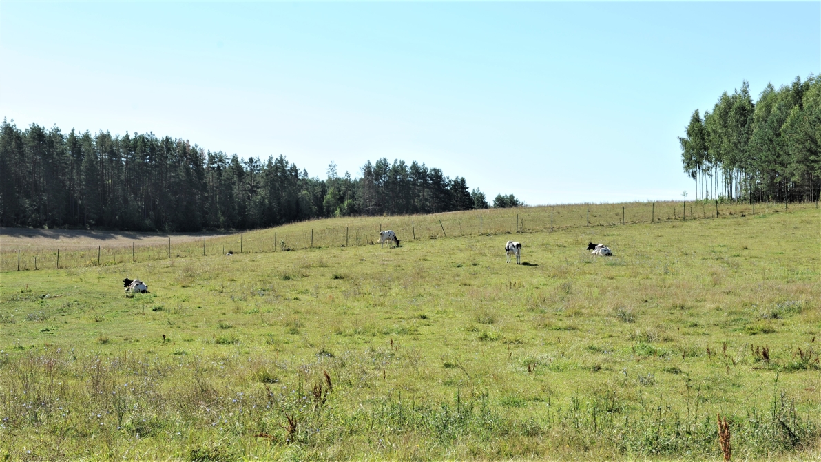 Mano ūkis - Nėra jokių galimybių panaikinti daugiamečių pievų statuso