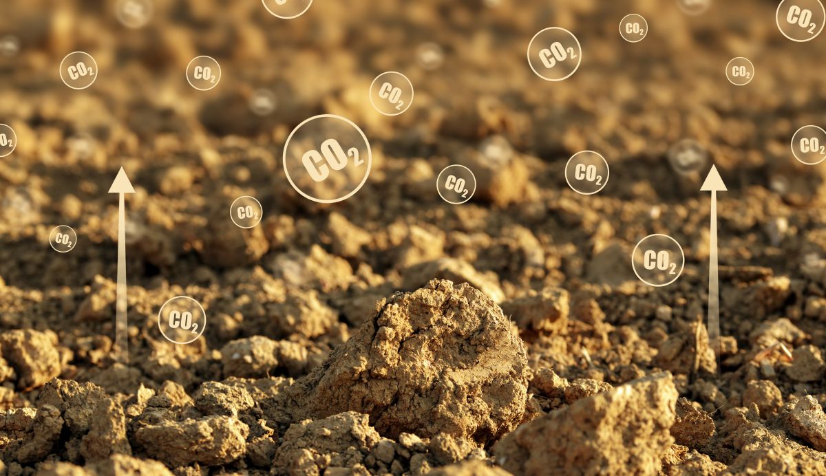 Mano ūkis - Anglies kaupimo ūkininkavimas jau apima 50 tūkst. ha žemės