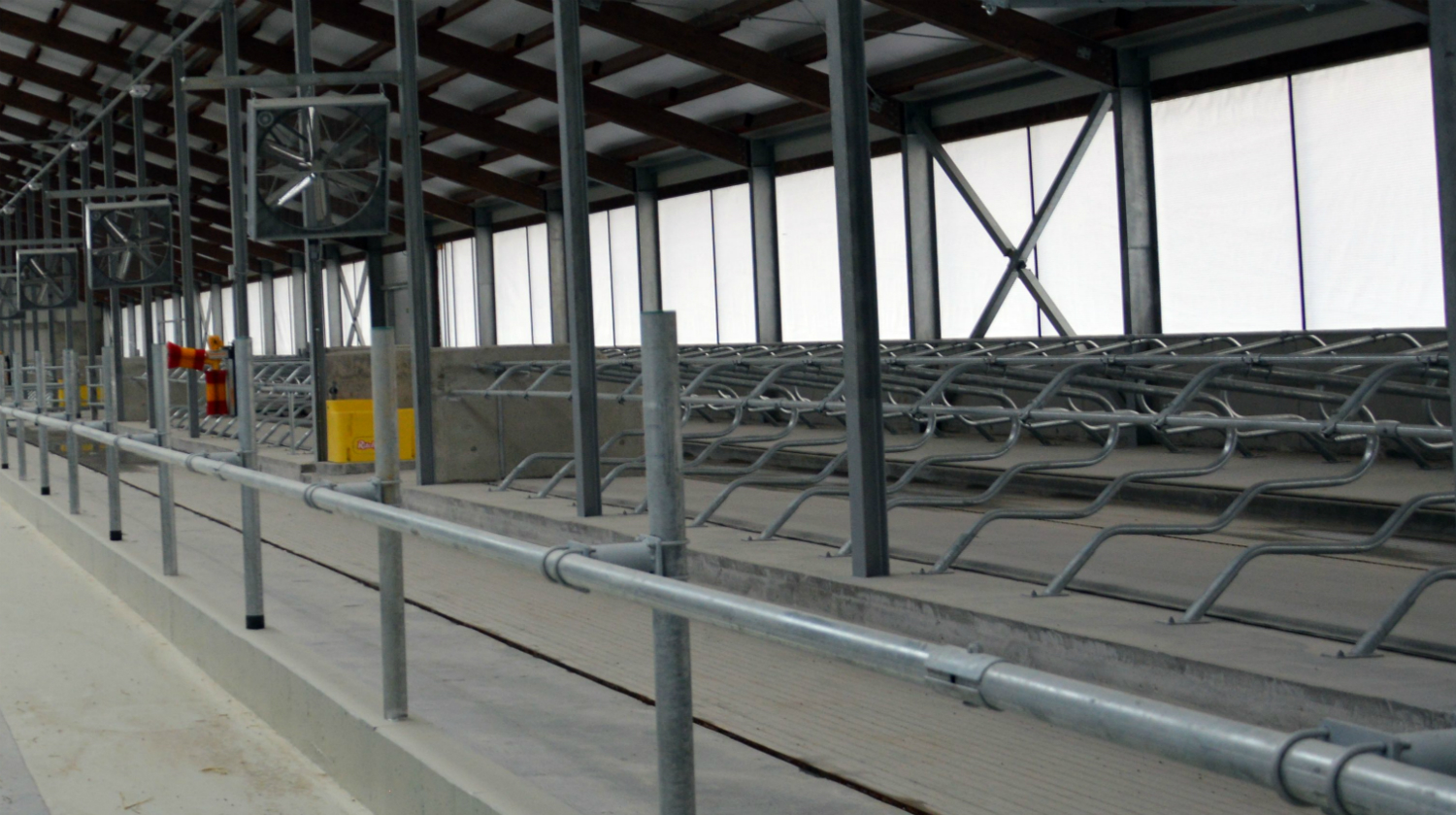 Mano ūkis - Ištuštėję bendrovės tvartai skaudina širdį