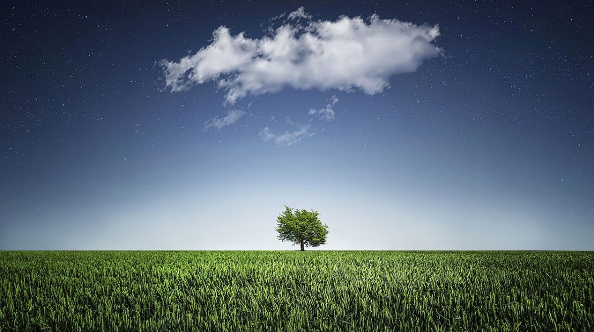 Mano ūkis - Kokiems klimato kaitos pokyčiams ruoštis?