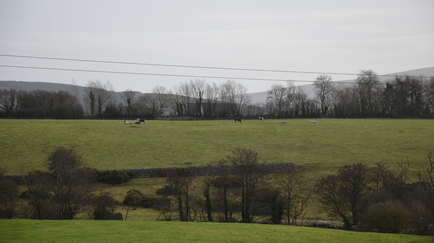 Mano ūkis - Kaimo vietoves greičiausiai okupuoja žiurkės ir karveliai