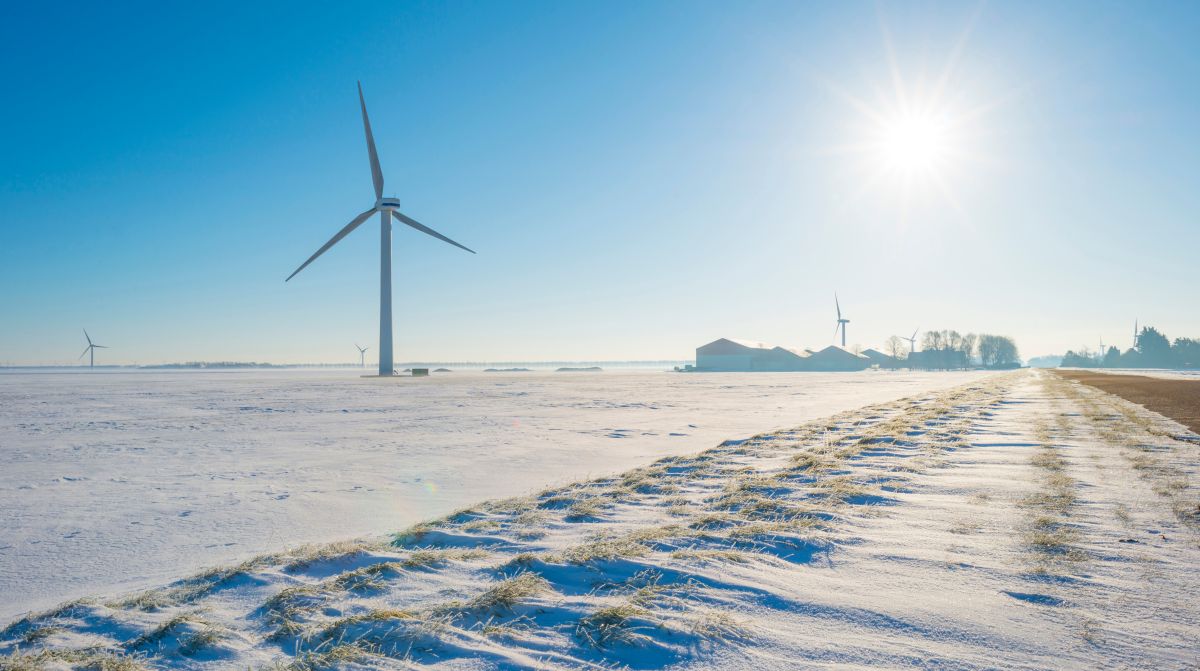 Mano ūkis - Klimato kaita ir kasdieniai orai. Kas labiau trukdo žemdirbiui?