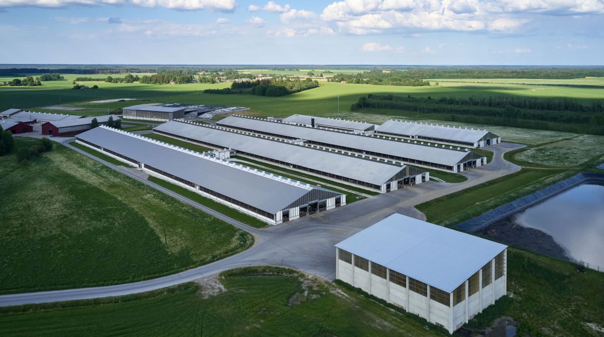 Mano ūkis - Į žemės ūkio statybas ateina estų verslas